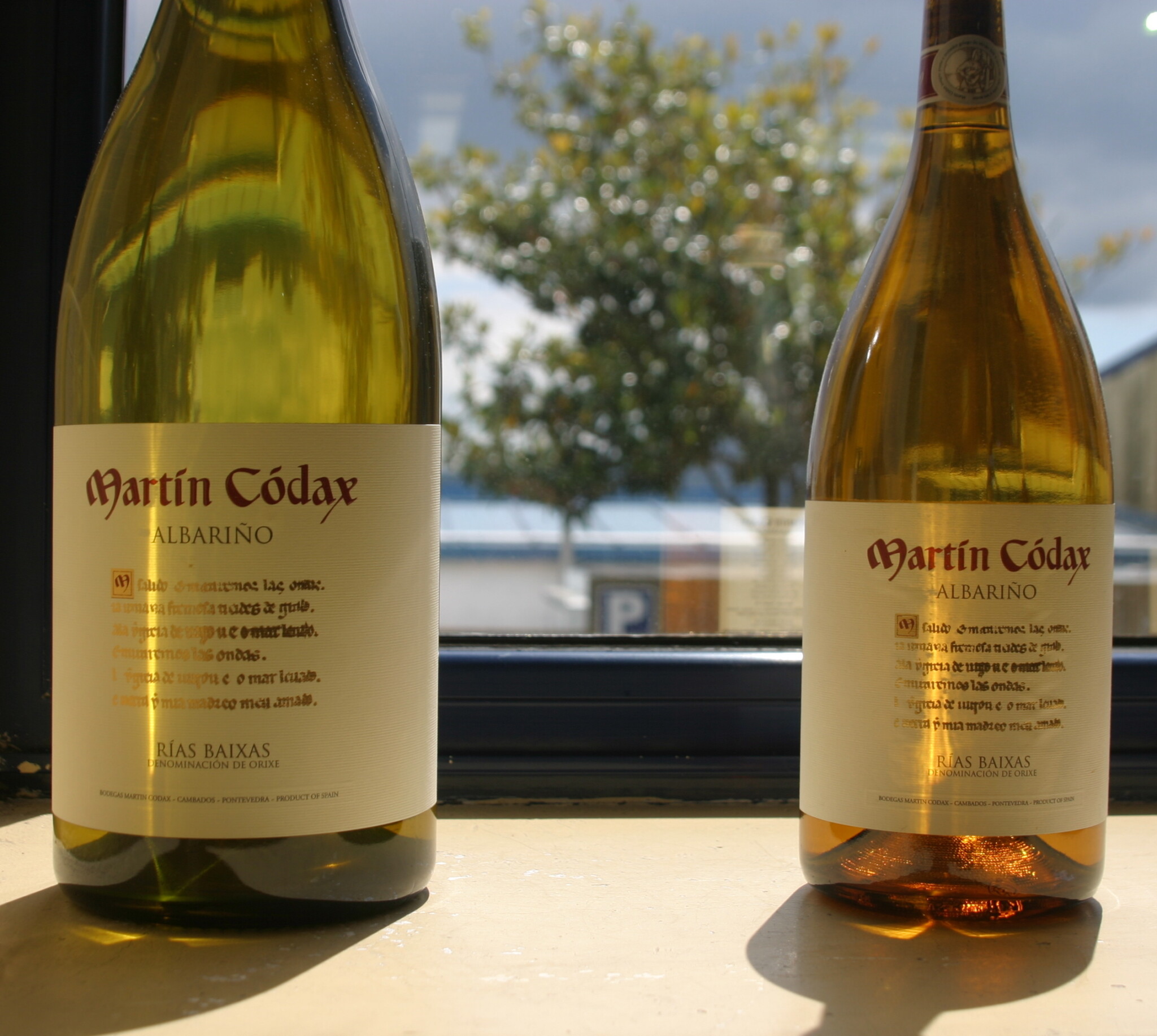 Vino Albariño: Rey de los Vinos Blancos (Caracteristicas, Maridaje y más)
