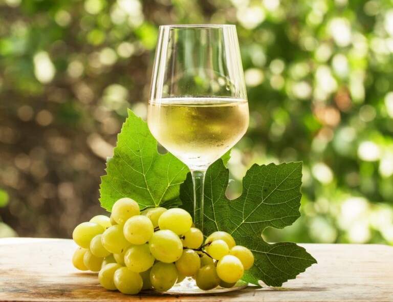 Vino Albariño: Rey de los Vinos Blancos (Caracteristicas, Maridaje y más)