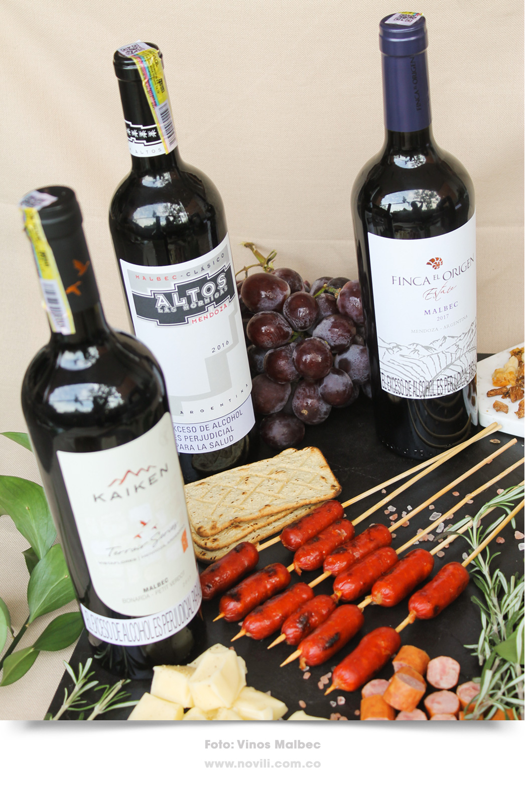 Vino Malbec: El TINTO que enamora a la Argentina ¡MEJORES PRECIOS!