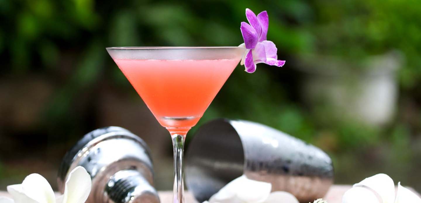 +16 Cocteles con Brandy ¡Sencillas Recetas para preparar Facil en Casa!