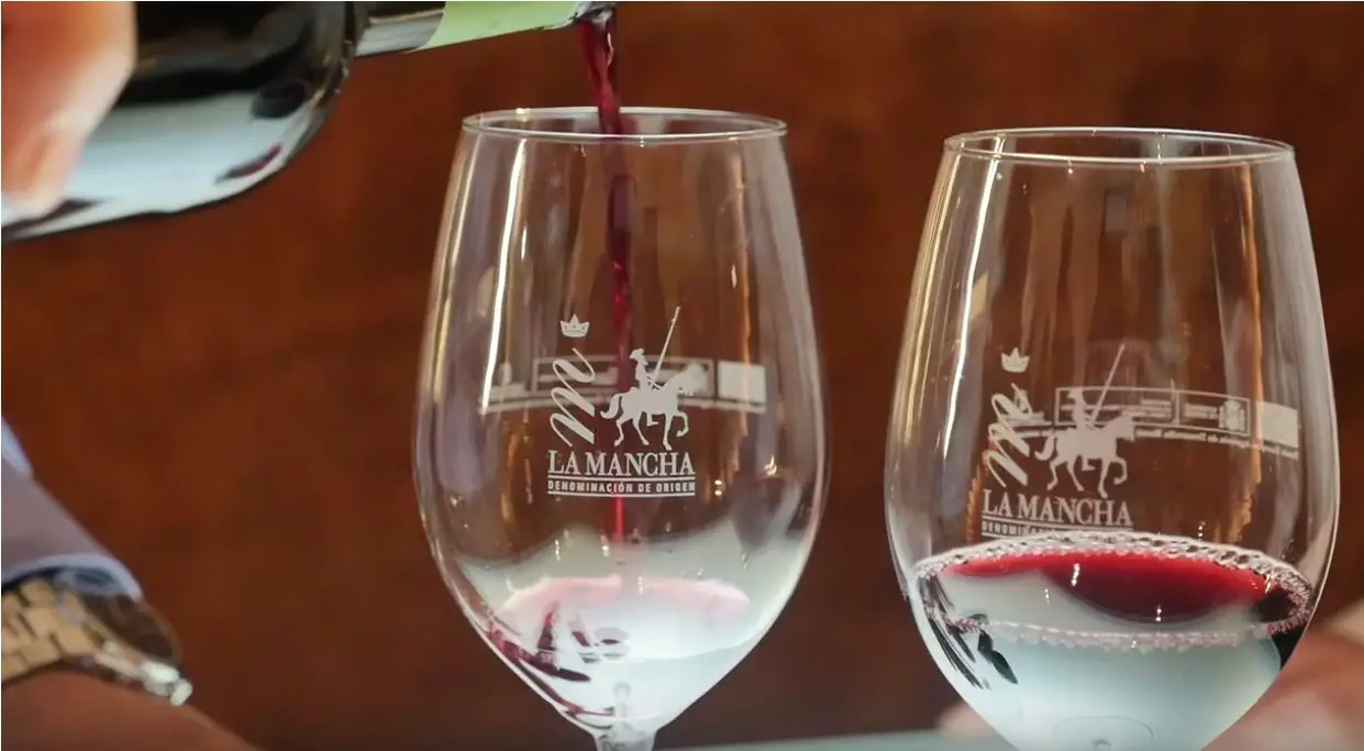 Vino Syrah: Perfecto para el maridaje con especias (Caracteristicas y más)