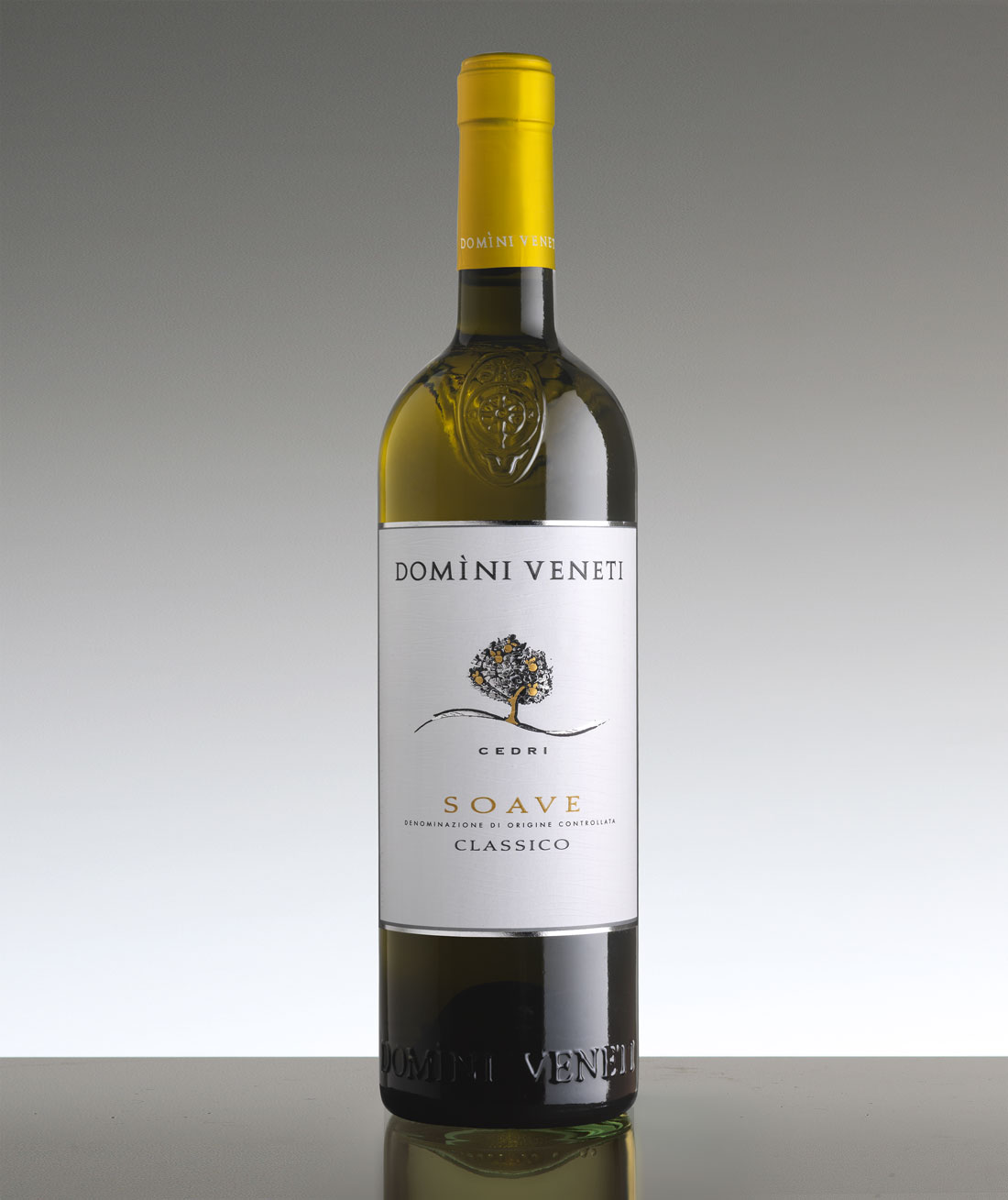 Vino Veneto: Tradición, excelencia y sabor italiano (Caracteristicas y más)