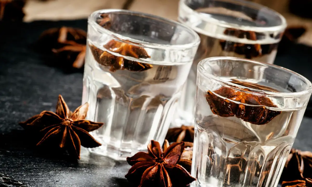 +13 Recetas de cocteles con Anís que te endulzarán ¡Faciles de hacer!