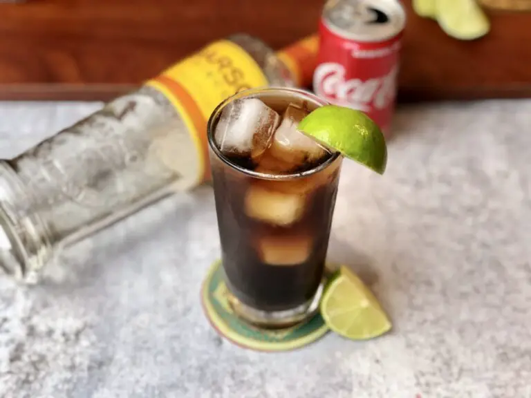 Cocktail Piscola: ¿Cómo hacer? Recetas e Ingredientes (Origen)
