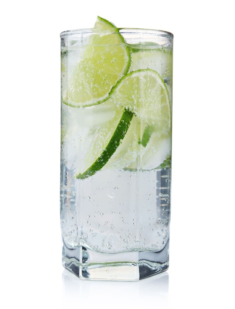 +12 Receitas de bebidas com água tônica Refrescantes e cheias de sabor!