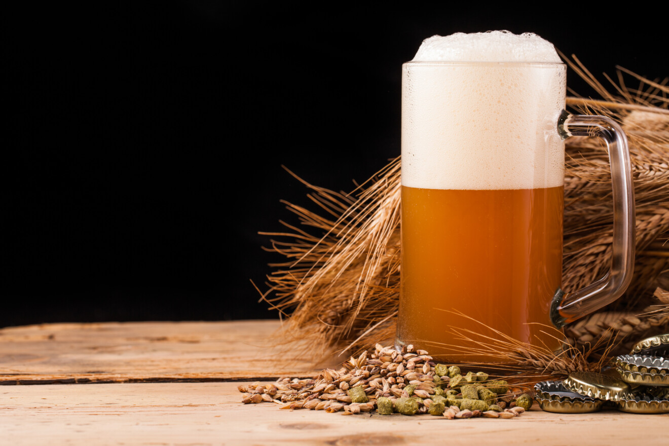 Cerveza Artesanal - ¿Qué es? Caracteristicas, Tipos, Beneficios y más.
