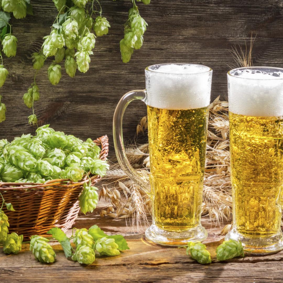 Cerveza de trigo: una alternativa artesanal - Los Vinos - Sitio web ...