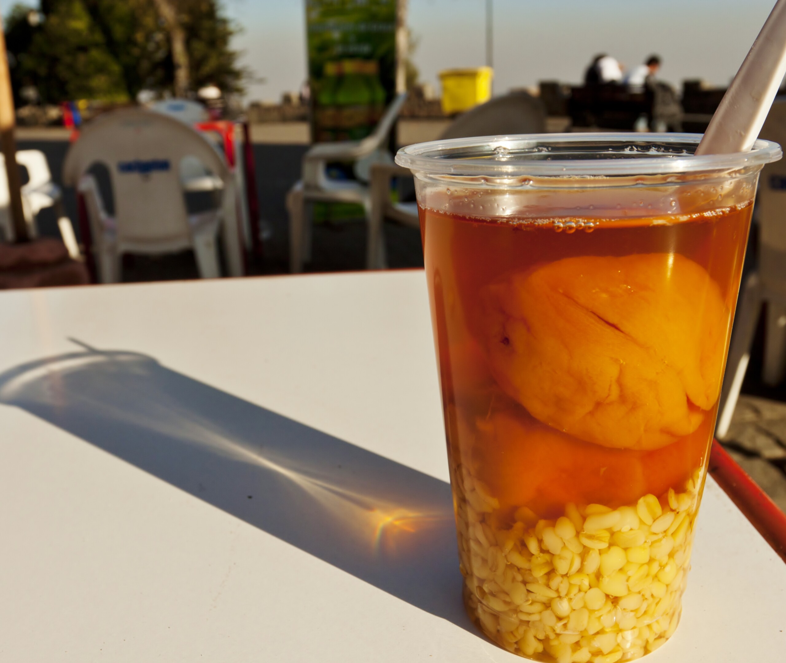 +5 Bebidas típicas de Chile (Recetas e Ingrediente) ¡Deliciosas al paladar!