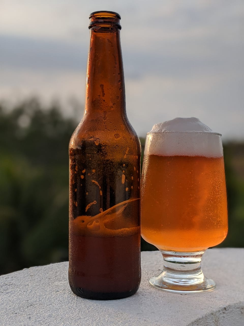 ¿Cómo hacer Cerveza? Ingredientes - Recetas ¡Elaboración paso a paso!