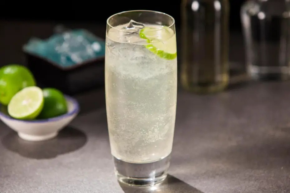 Cocktail Chilcano: ¿Cómo hacer? Recetas e Ingredientes (Origen)