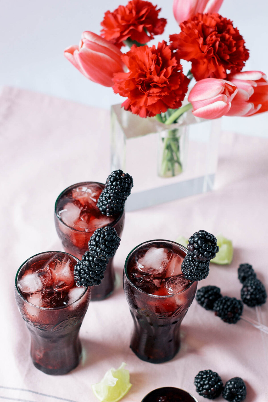 +10 Recetas de bebidas con vino (Blanco, tinto o rosado) ¡FACILES!