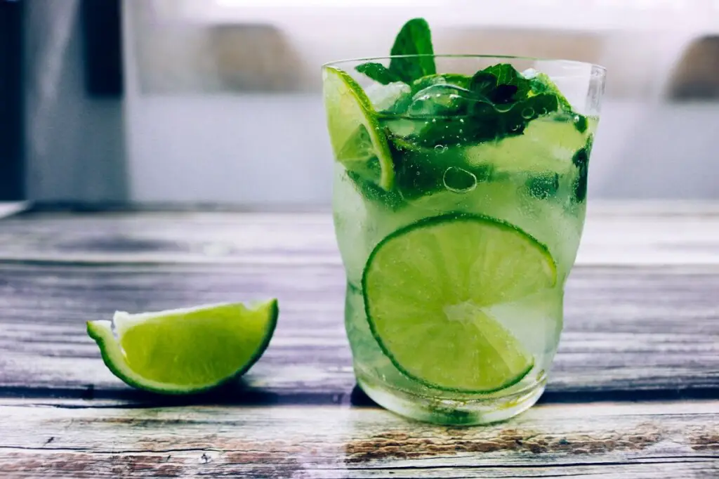 +10 Recetas de bebidas con menta ¡Deliciosas y refrescante!