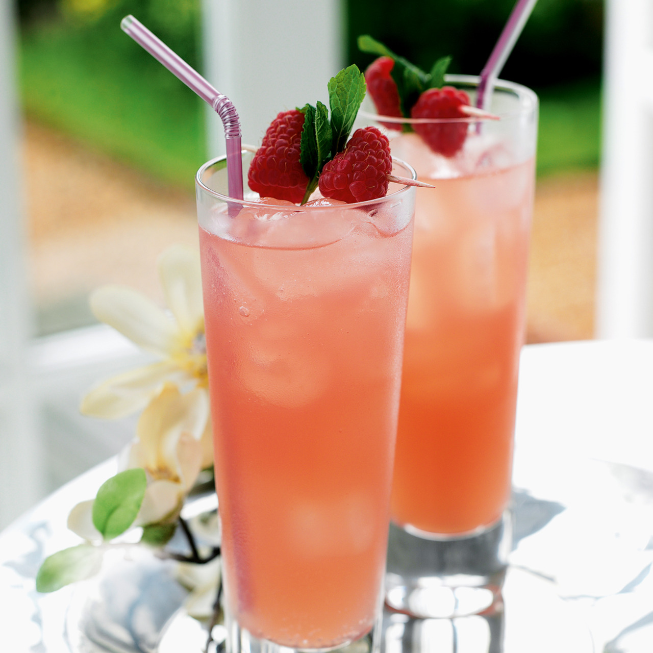 +8 Tragos con Gancia llenos de sabor (Recetas e Ingredientes)