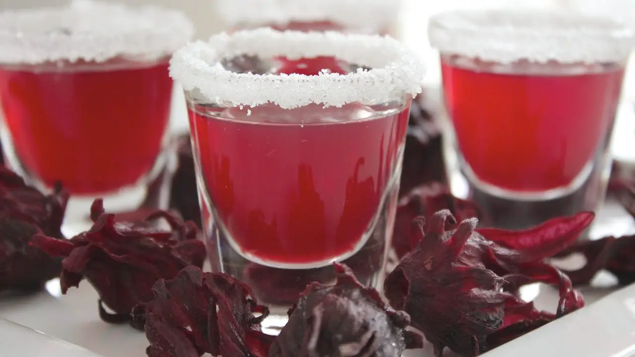 +5 Bebidas típicas de África ¡Las más populares del continente africano!