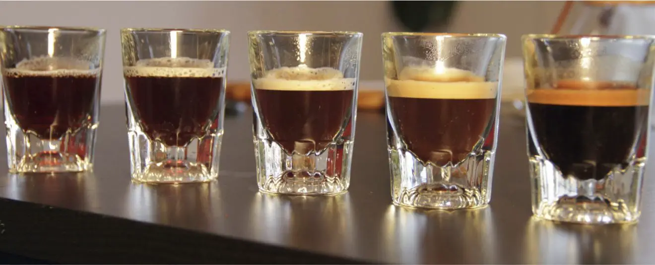 Shot ¡Popular bebida corta! ¿Cómo se debe tomar? +5 Recetas con shot