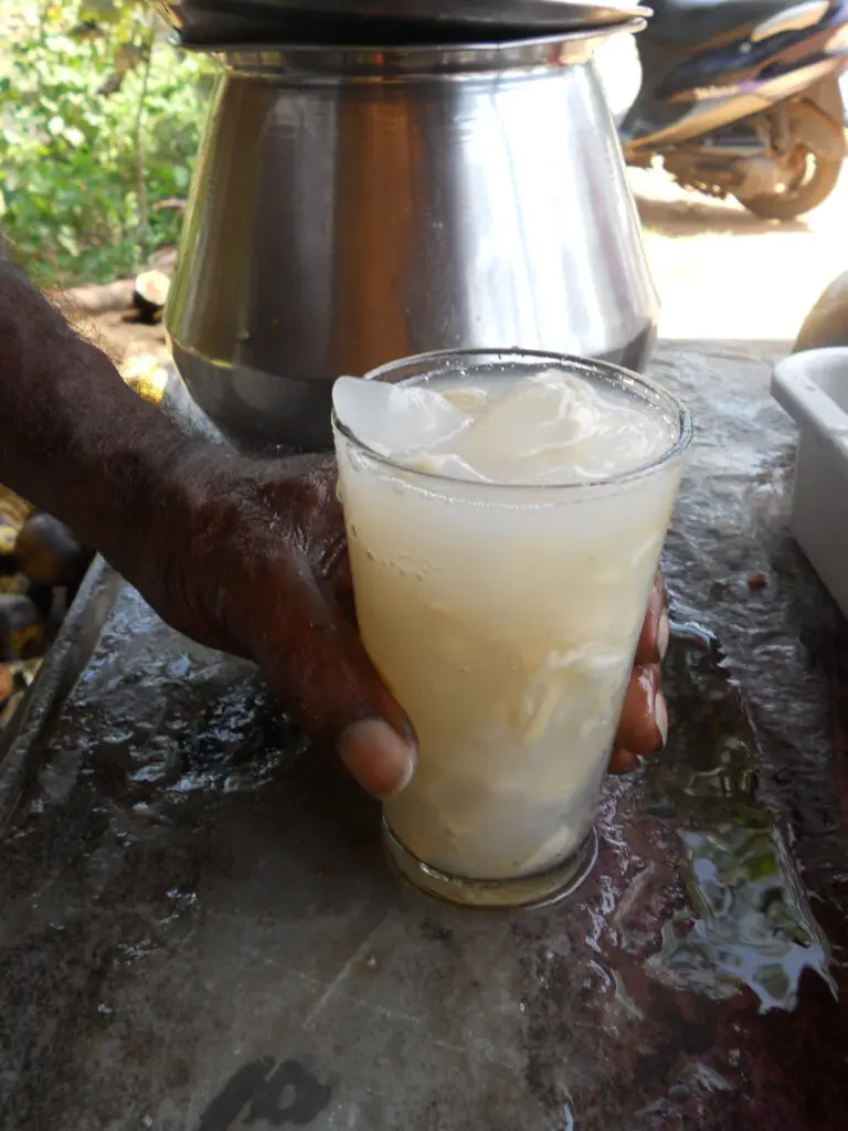 Matango Palm wine with Cameroonian seal! - Los Vinos - Sitio web para ...