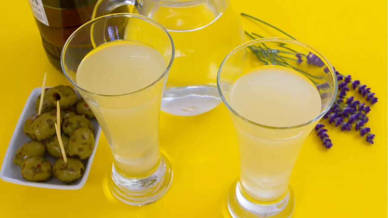Pastis ¡El anís producido en Francia! Graduacion Alcoholica + Historia