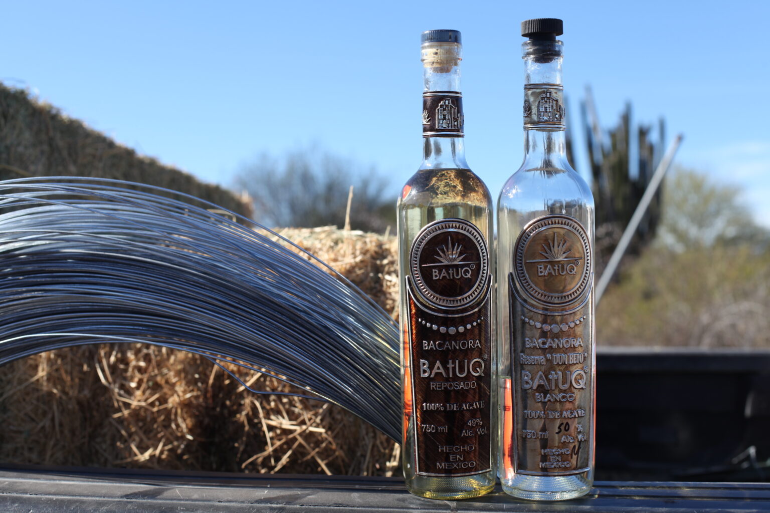 Bacanora ¿Qué es? Origen - ¡Un licor mexicano ideal para los valientes!