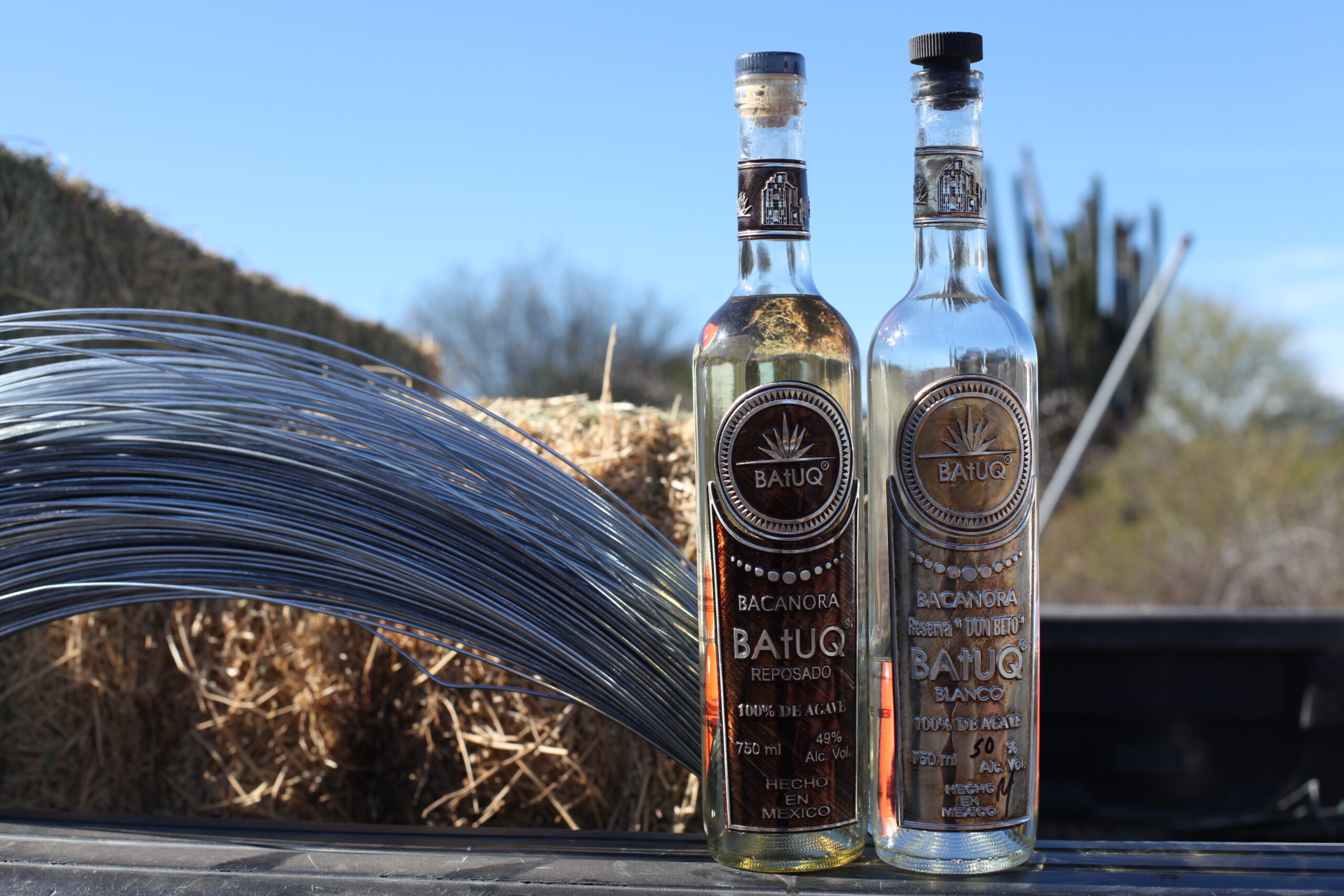 Bacanora ¿Qué es? Origen - ¡Un licor mexicano ideal para los valientes!