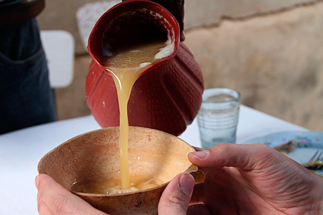 +3 Bebidas Típicas de Cochabamba ¡Tienes que Probarlas! Recetas