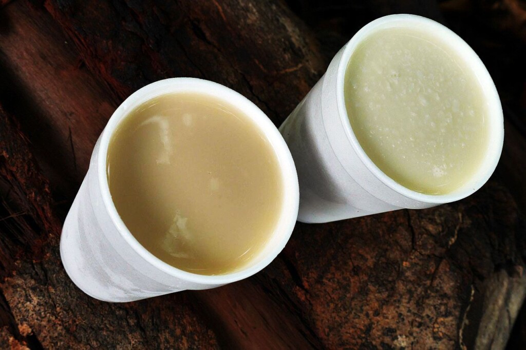 +5 Bebidas Típicas de Bolivia: Bebidas a base de Maíz (Recetas y más)