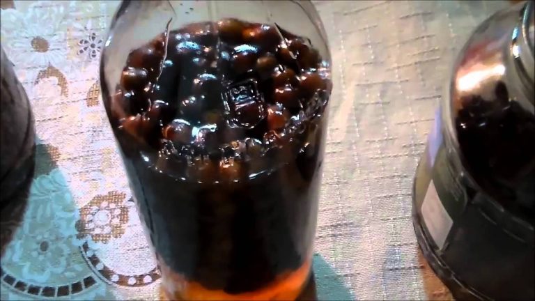+8 Licores artesanales Chilenos ¿Donde conseguirlos? ¡Sabor natural!