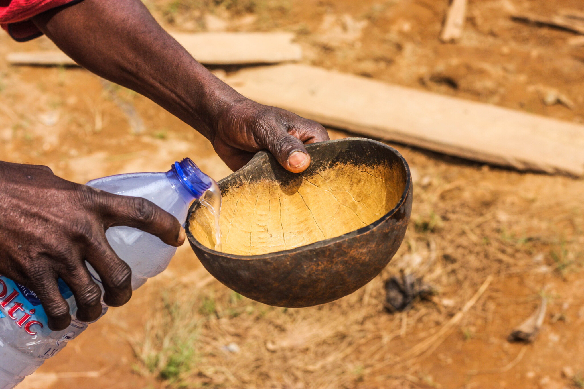 Matango Palm wine with Cameroonian seal! - Los Vinos - Sitio web para ...