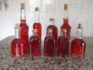 Licor de Fresas: ¿Qué es? ¡Receta FACIL de hacer! Beneficios y más