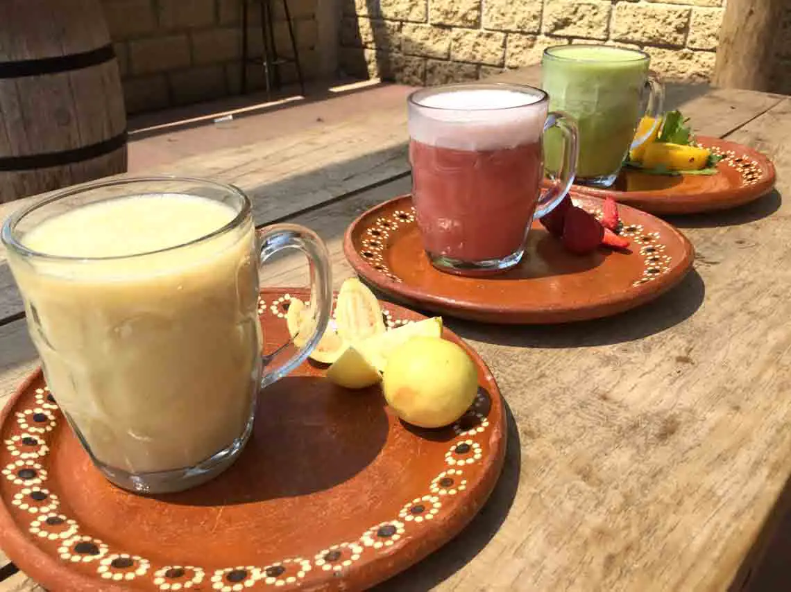 +8 Tragos con Pulque ¡Con sabor prehispánico! Recetas + Ingredientes