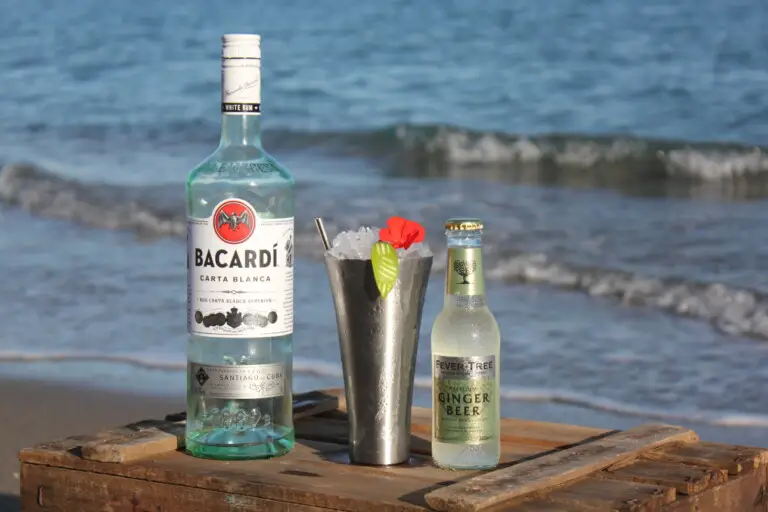 +9 Recetas de Tragos con Martini Rosso llenos de sabor ¡Te encantaran!