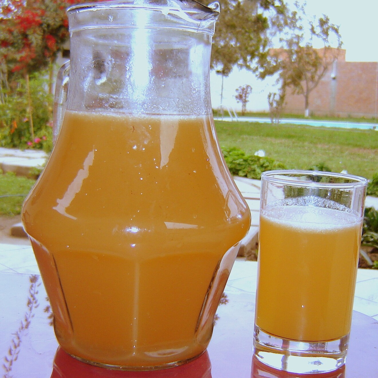 +7 Bebidas típicas de Nicaragua ¡Increíbles recetas! Preparalas en tu casa