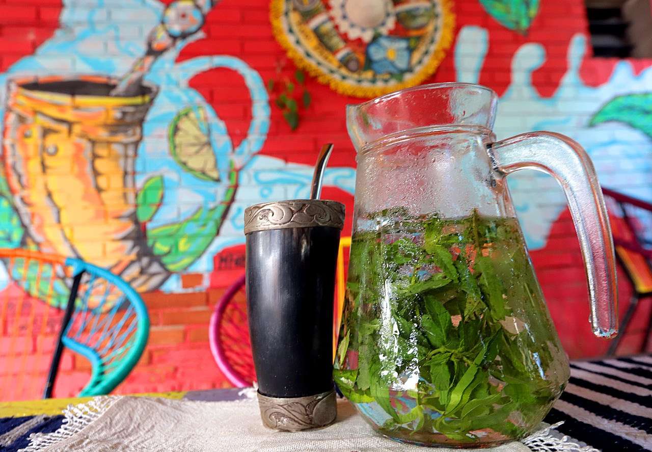 +5 Bebidas típicas de Paraguay ¡Recetas con y sin alcohol! Populares