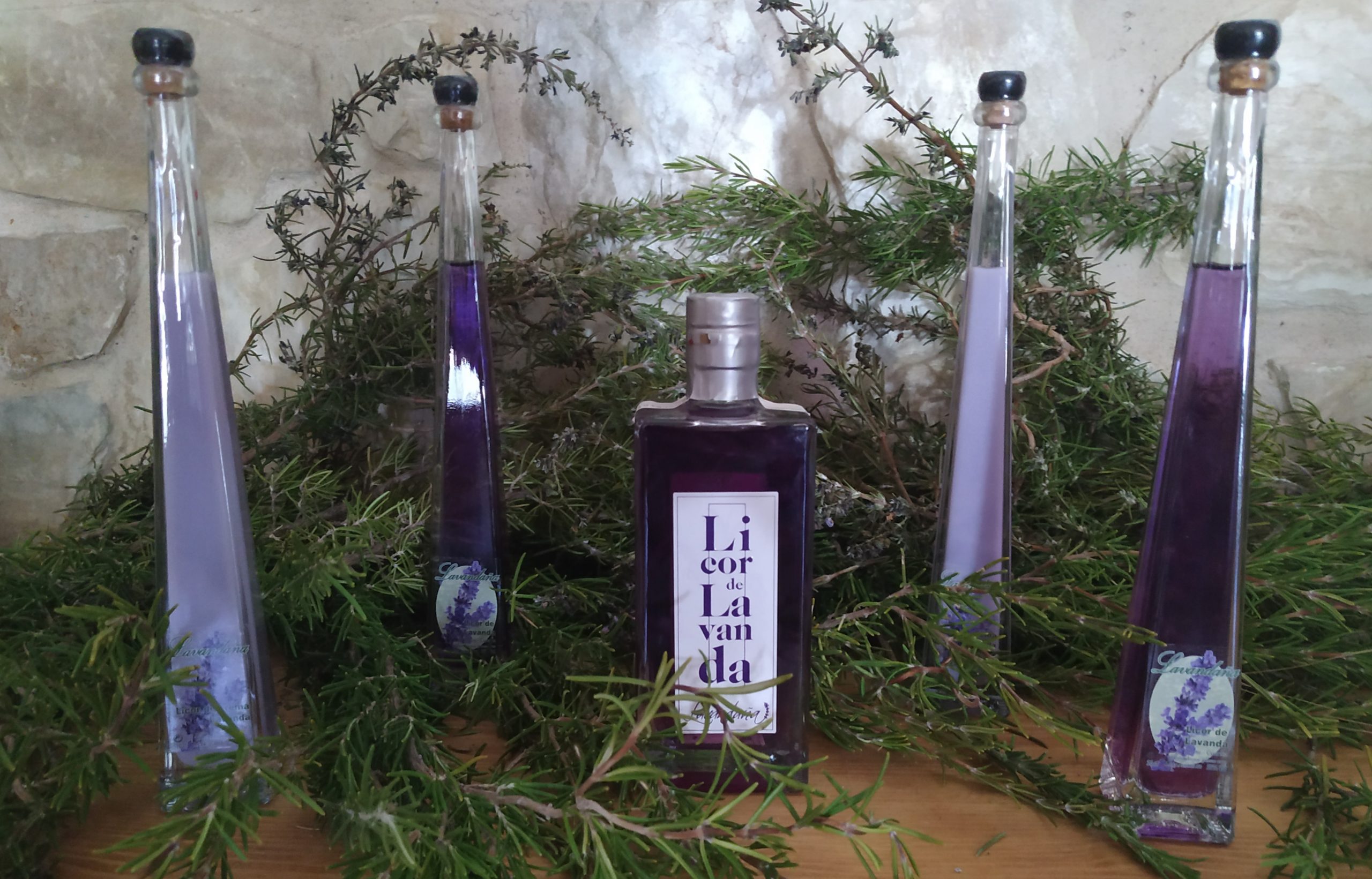 Licor de Lavanda: ¿Qué es? ¿Cómo se hace? Propiedades y más