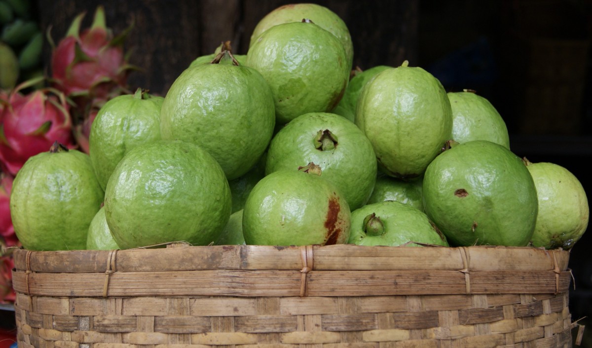 Licor de Guayaba: ¿Qué es? ¡Receta facil de hacer! Beneficios y más.