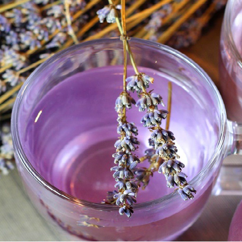 Licor de Lavanda: ¿Qué es? ¿Cómo se hace? Propiedades y más