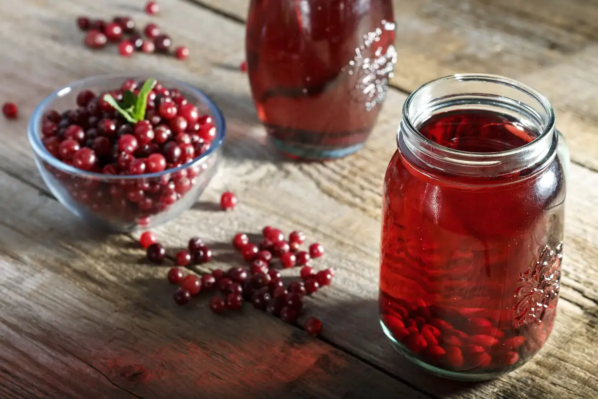 Jugo de Arándanos: ¿Para qué sirve? Beneficios, recetas y más.