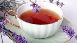 Té de lavanda ¿Cómo preparar? Propiedades, beneficios y más.