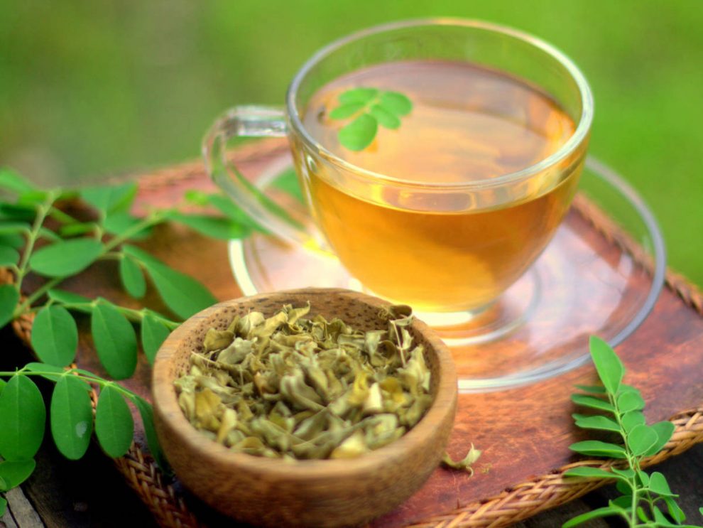 Té de Plantas Medicinales ¡Utiles para desinflamar! ¿Cual usar? y más