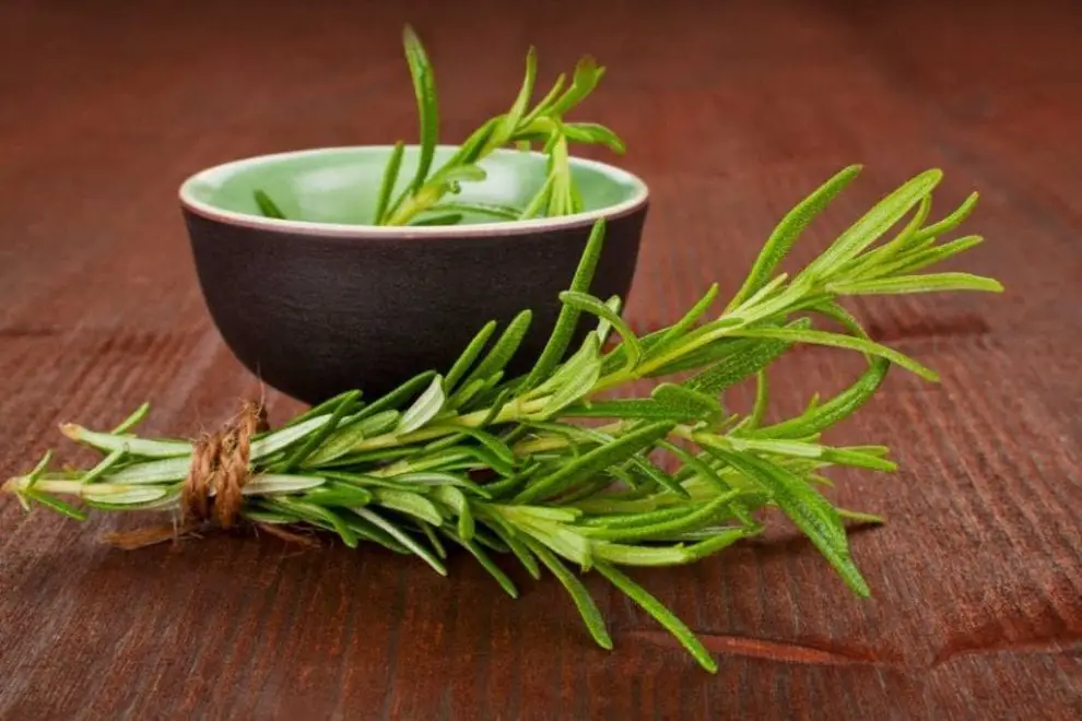 Infusiones de romero ¡Ricas en antioxidantes! - (Usos medicinales)