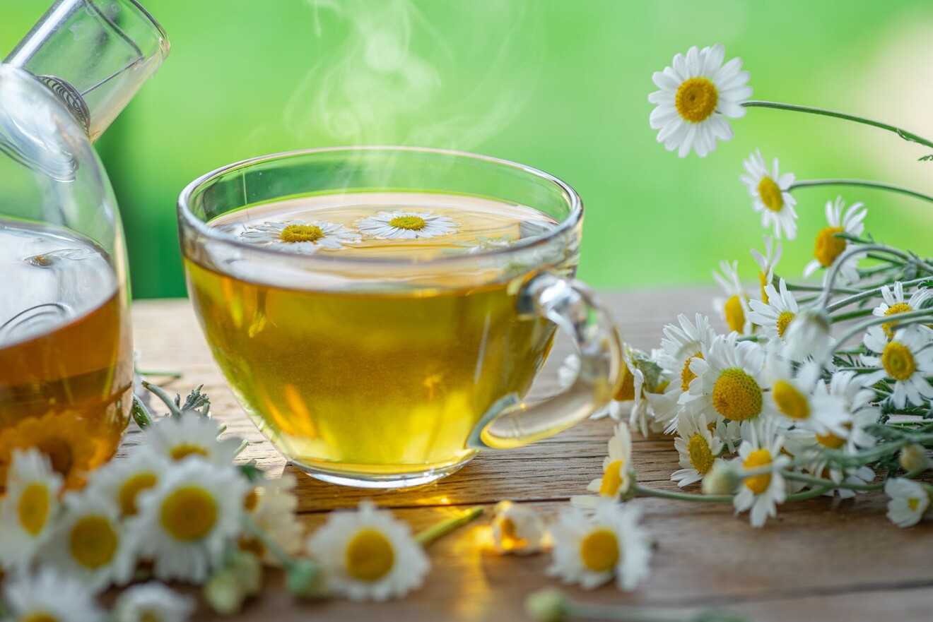 Té de Camomila ¿Bueno para dormir? ¿Para que sirve? Beneficios y más