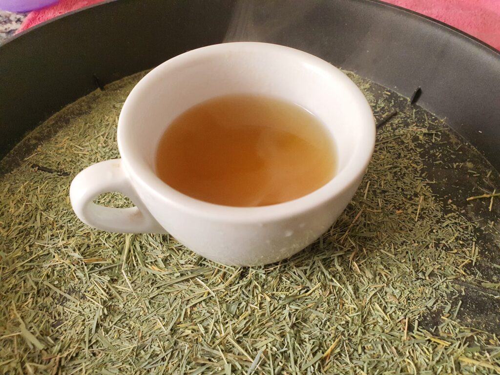 Té de Bambú ¿Para adelgazar? Contraindicaciones + Beneficios y más