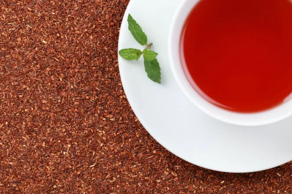 Infusiones de rooibos ¡Una explosión de beneficios! - ¡Remedio natural!