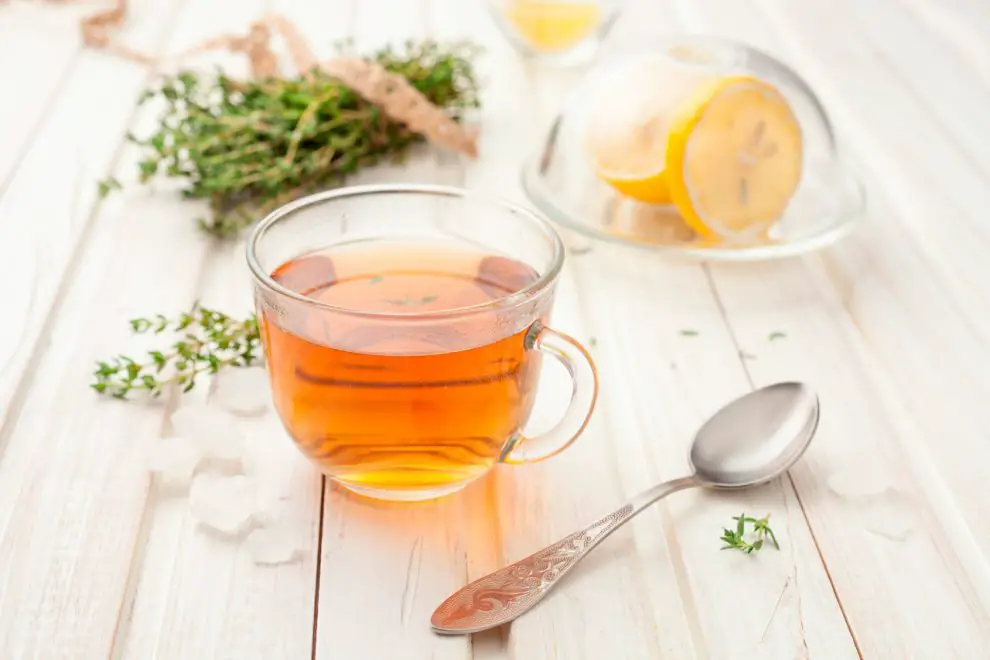 +5 Infusiones de tomillo ¿Cómo prepararla? - (Beneficios, recetas y más)