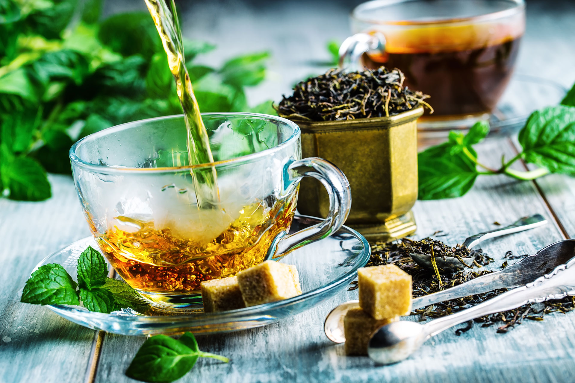 Té de Plantas Medicinales ¡Utiles para desinflamar! ¿Cual usar? y más