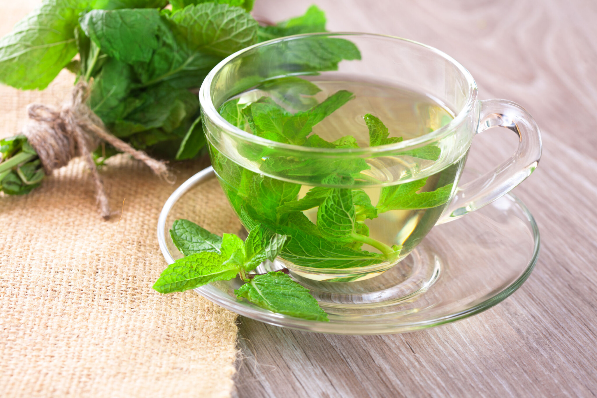 Té de Menta ¿Bueno para el Embarazo? Recetas con limon, canela y más