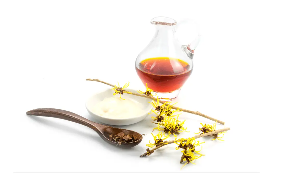 Witch hazel water: Naturally healthy - Los Vinos - Sitio web para ...