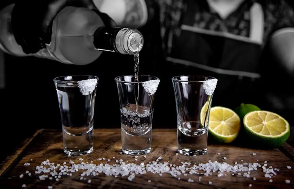 Destilación de Alcohol ¿Cuantos tipos existen? ¿Como hacerlo? y más