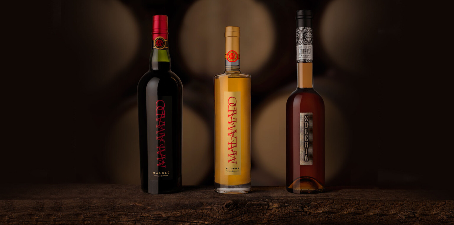 Vino Malamado: Conoce su calidad e innovación