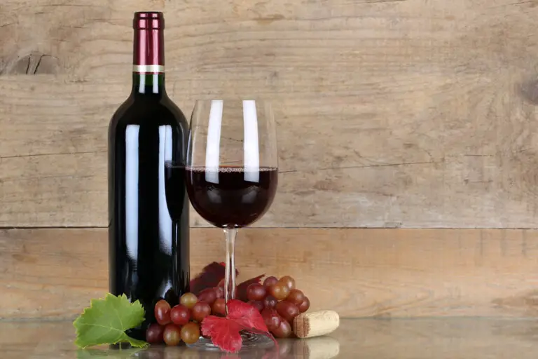 +10 Vinos Varietal: Ideales para acompañar con una ternera o cordero