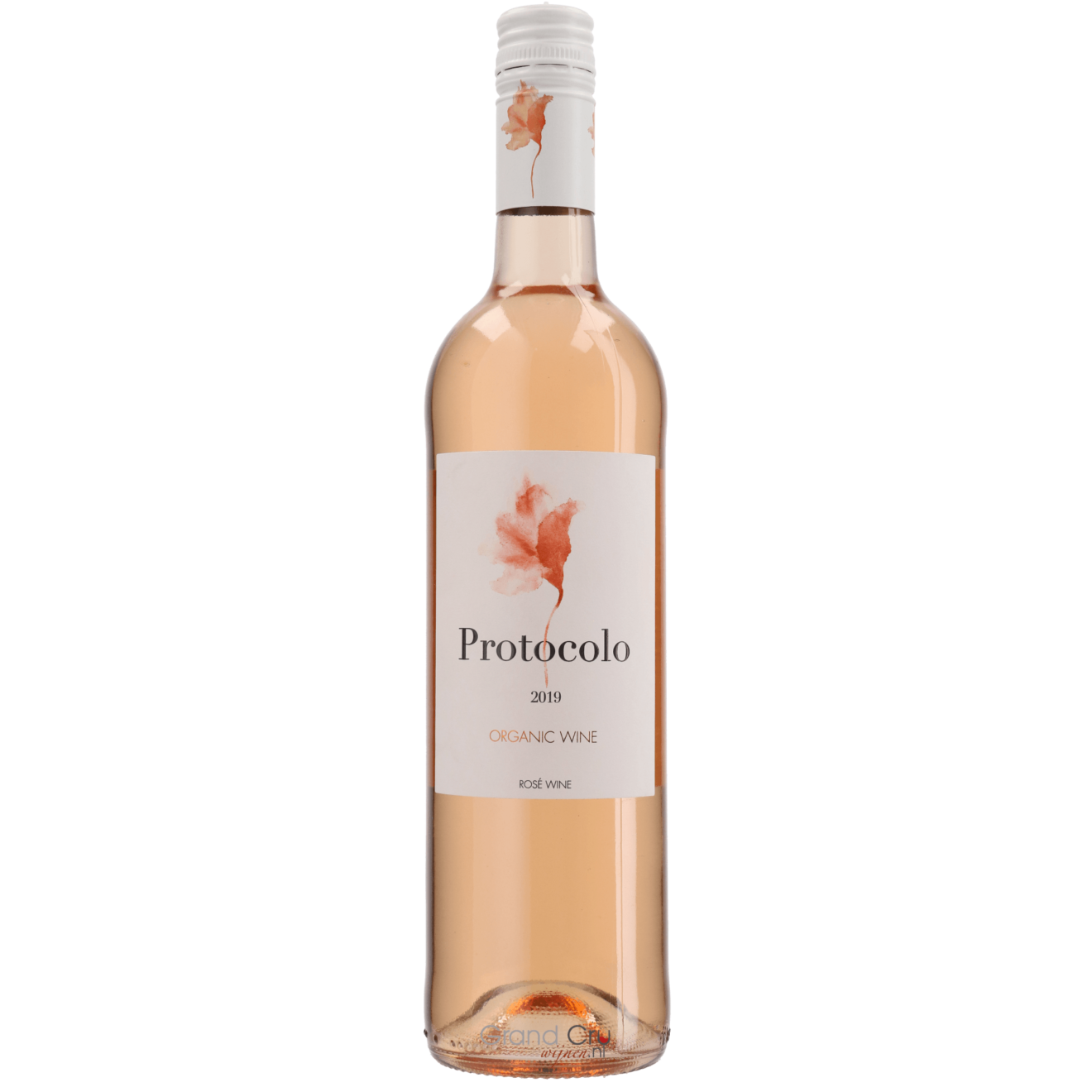 +10 Vinos para una barbacoa ¡Los mejores del mercado!